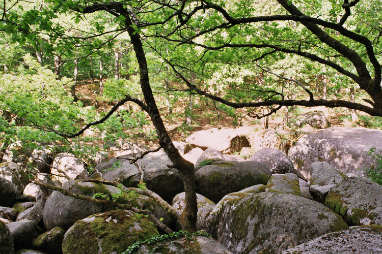 Sites touristiques | Commune de Lacrouzette